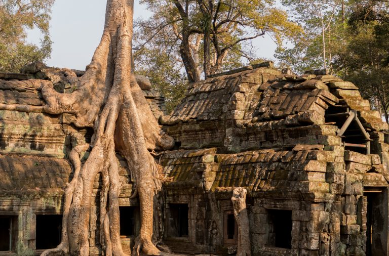 Angkor Wat and Ta Prohm (aka Tomb Raider Temple) – The Traveluster